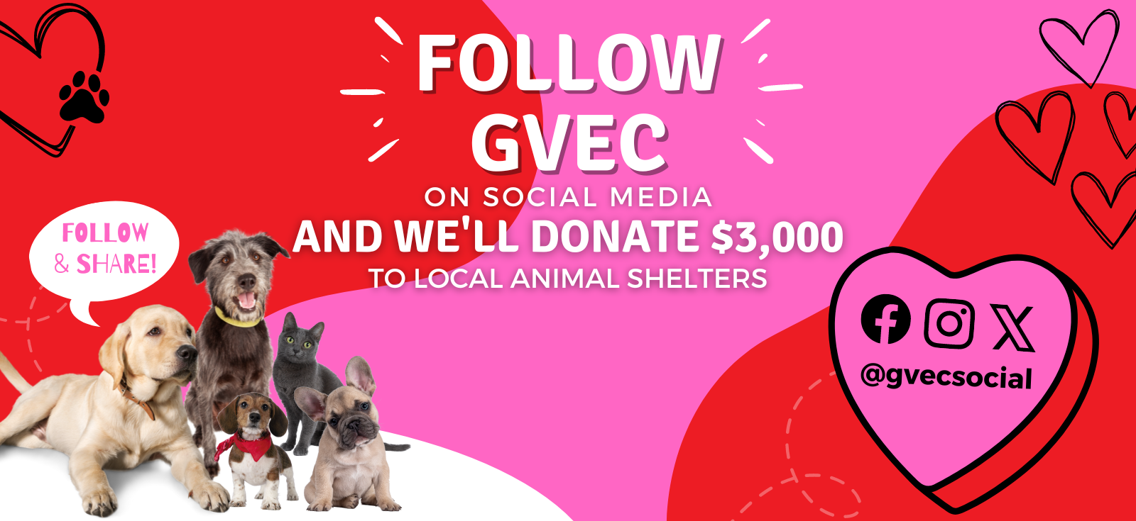AnimalShelterCampaign2024_desktop - GVEC