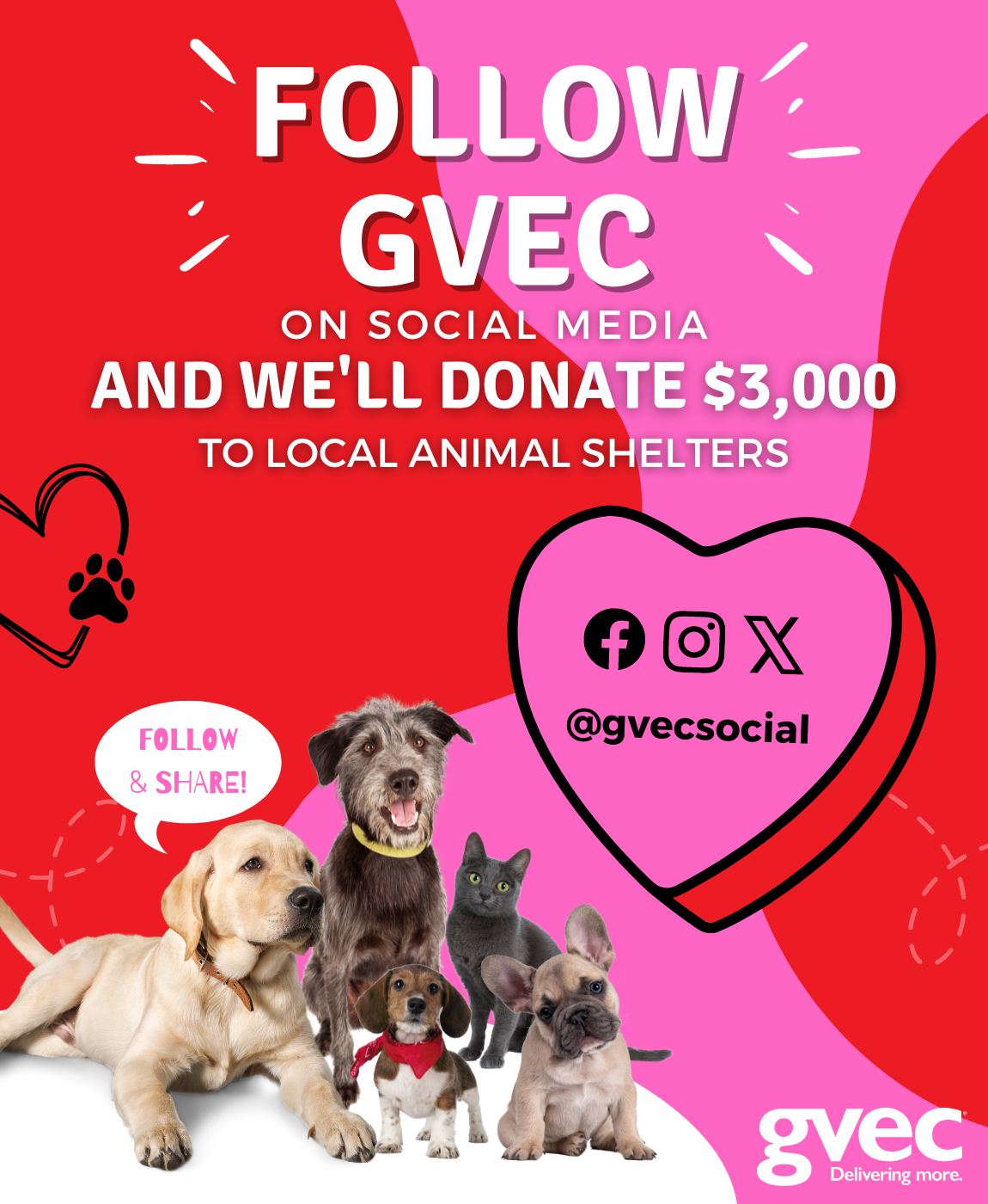 AnimalShelterCampaign2024_tablet - GVEC