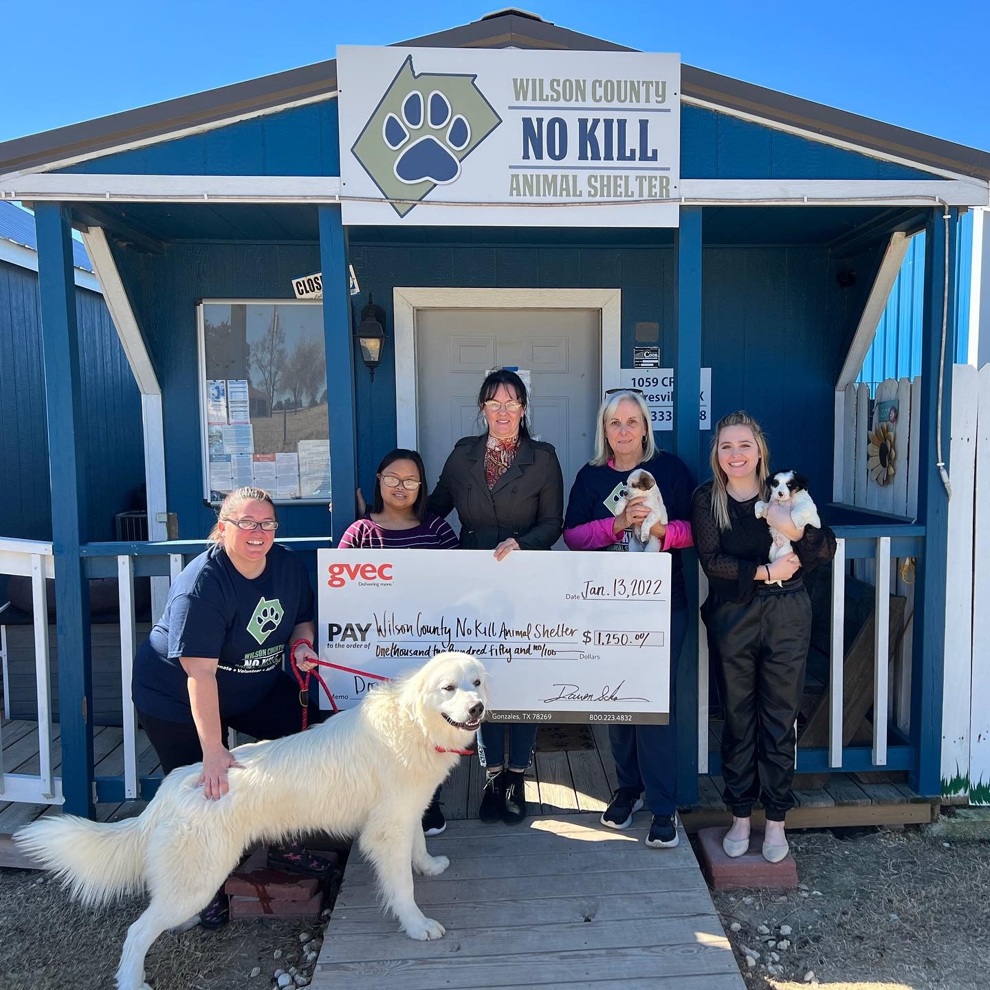 WilsonCounty NoKill - GVEC